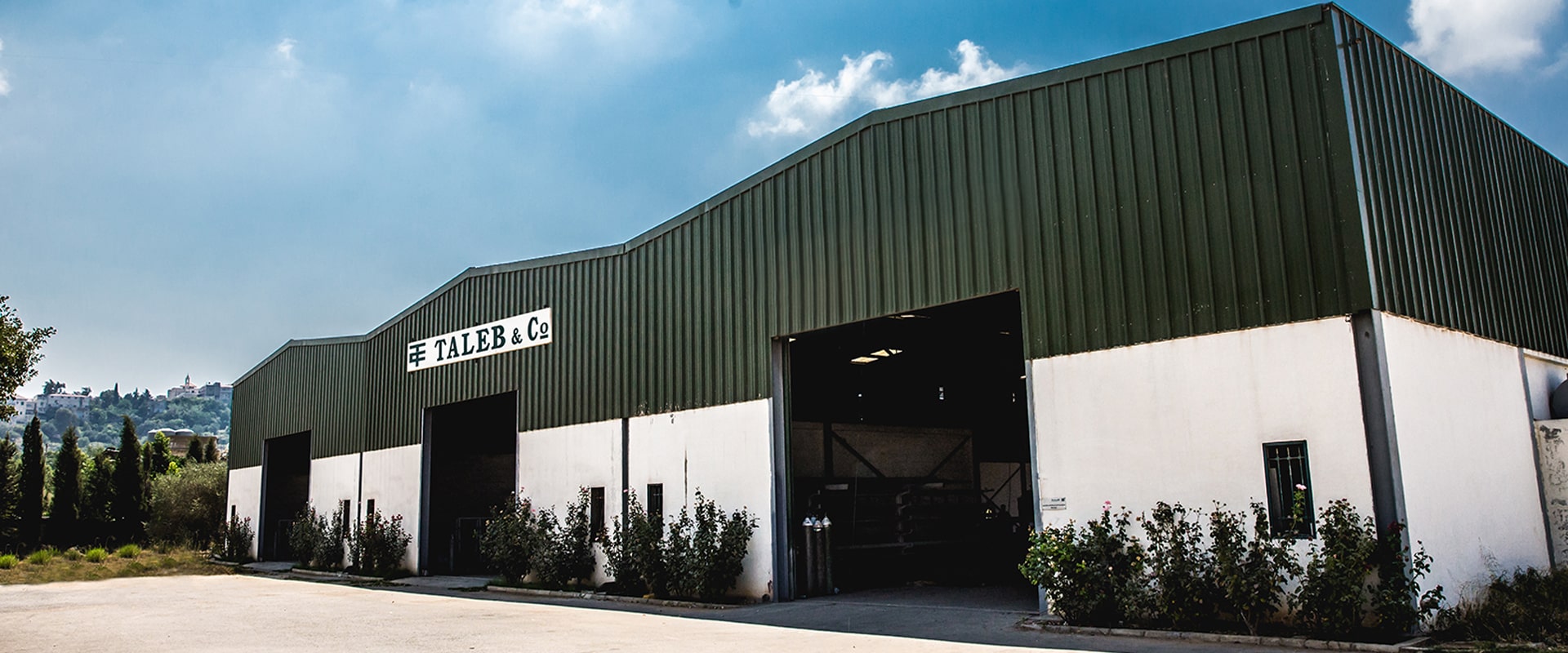 Taleb & Co